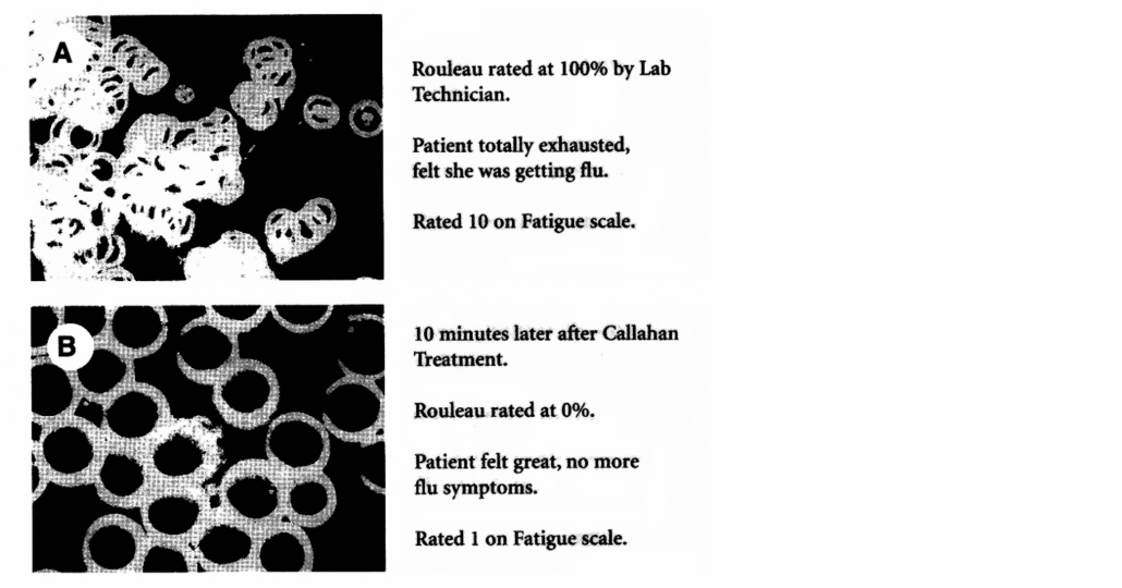 A Pioneer In the Field of Healing – Decades Ahead of His Time - TFT ...
